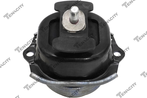 TENACITY AUTO PARTS · Product · AWSBM1041,22116865145,22-11-6-865-145